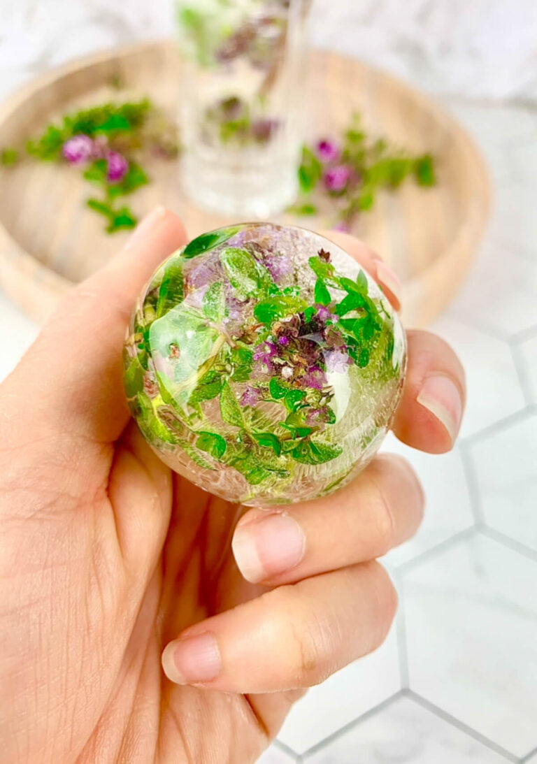Decorative Ice Cubes | Fancy Ice Cubes - The Mindful Mocktail